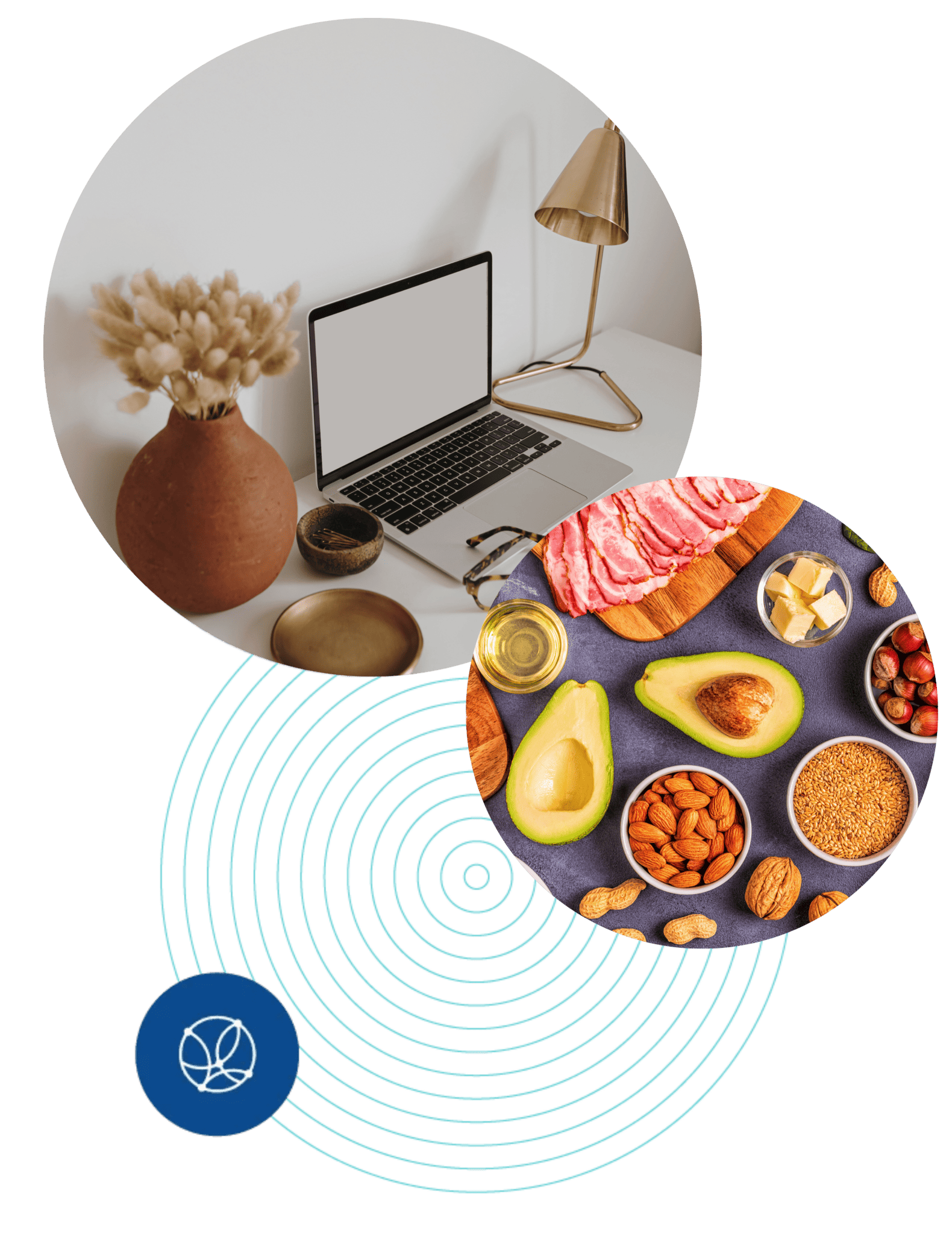 NUTRITION NETWORK COACH PRACTITIONER PATHWAY BUNDLE - Nutrition Network